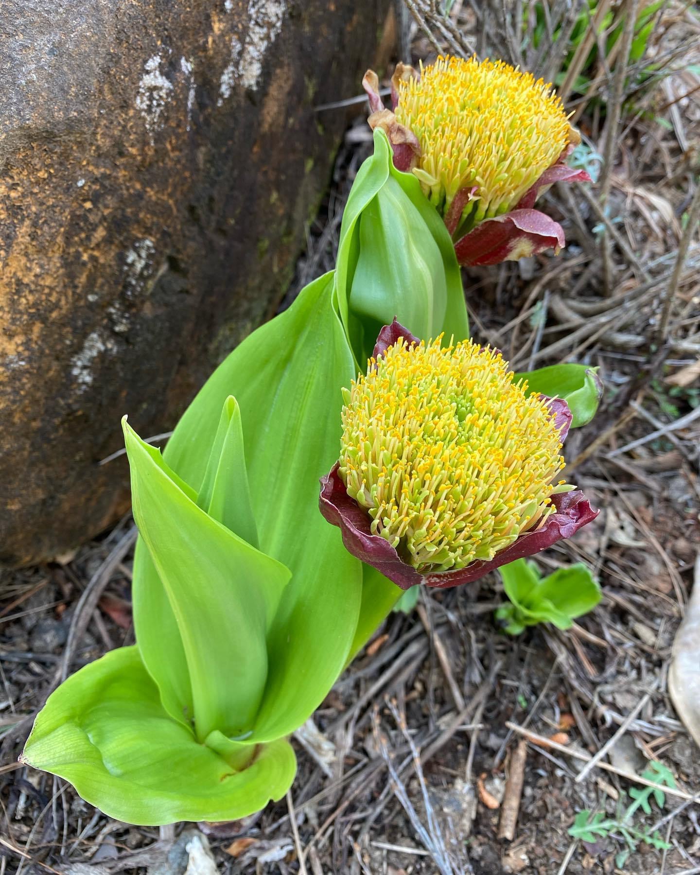 Gallery – Tsela Tours