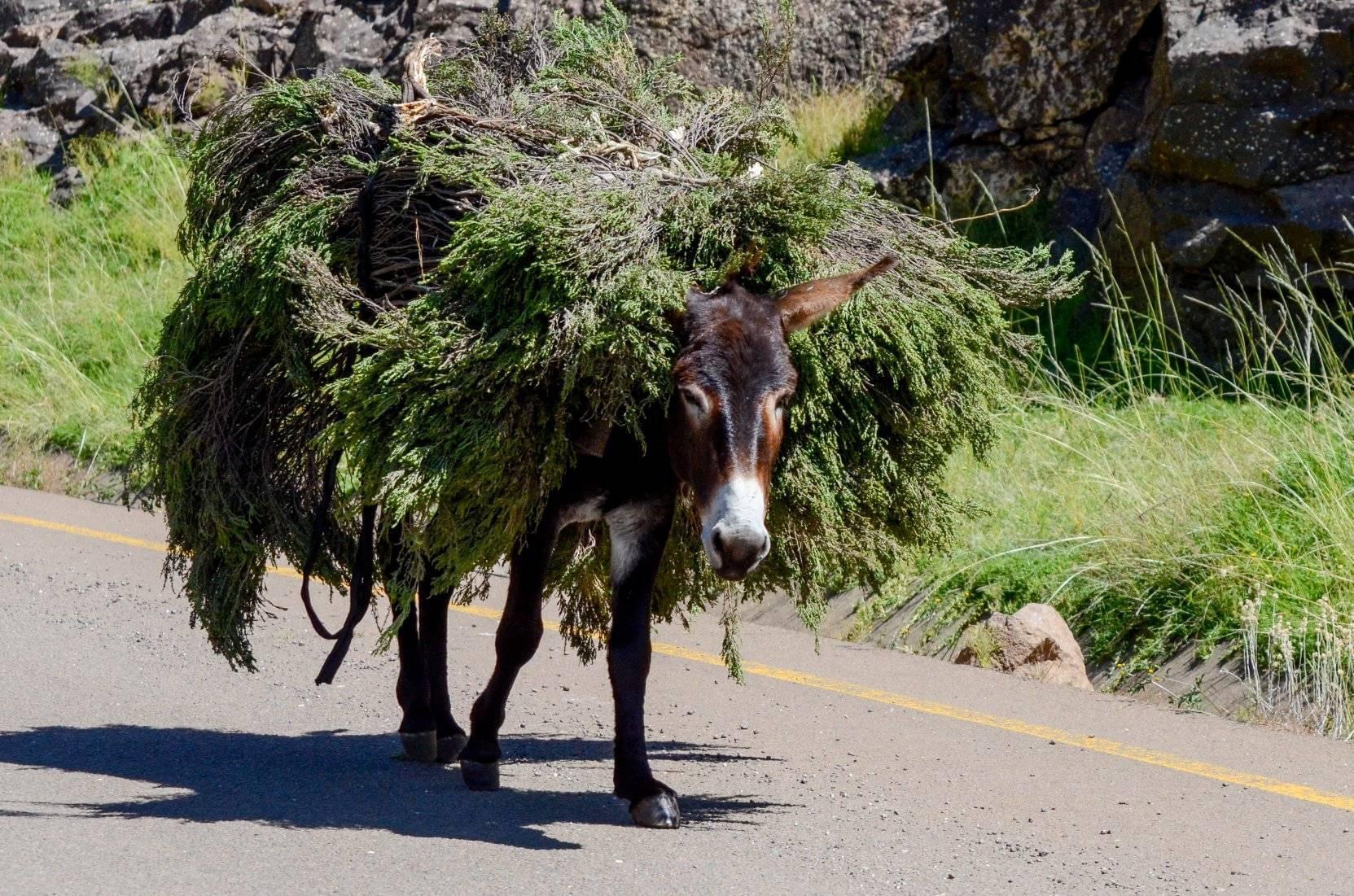 Gallery – Tsela Tours